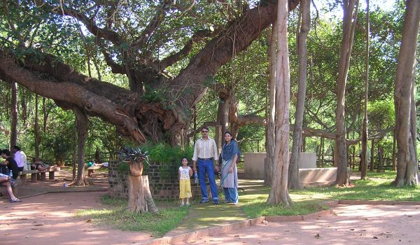 Christmas in Puducherry – Astonishing India