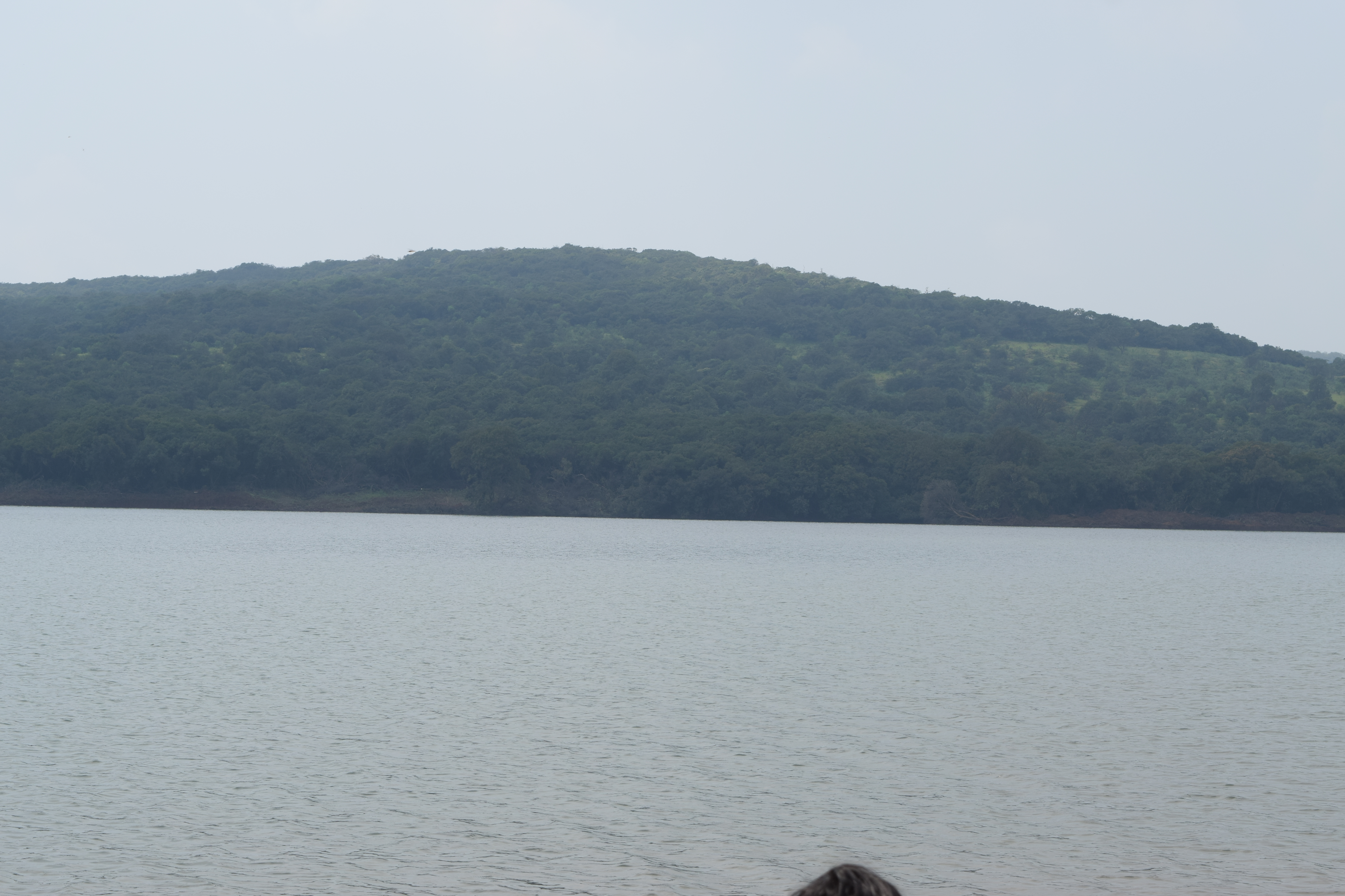 Why You Should Visit Kaas Pathar, The Plateau Of Flowers in Satara ...